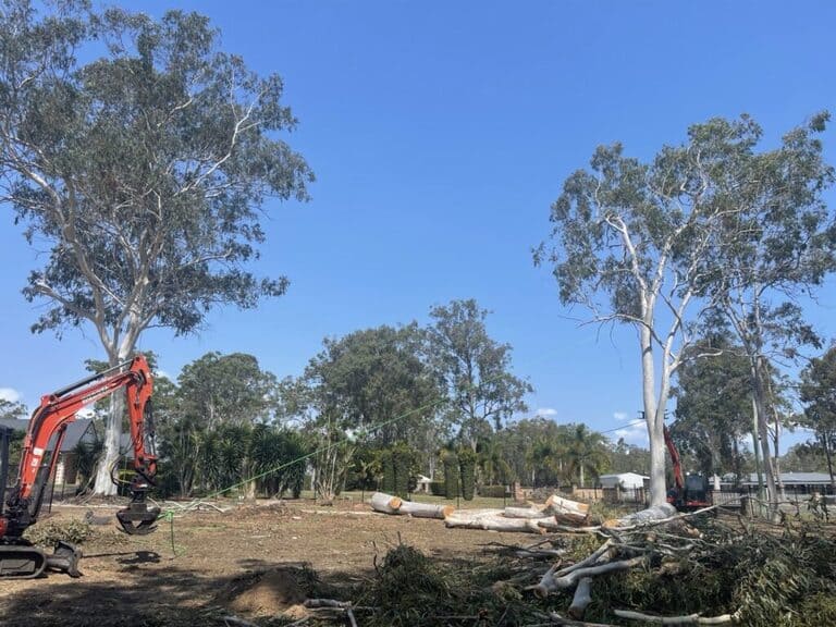 Heavy Clearing Arborist Brisbane | Land & Tree Specialists